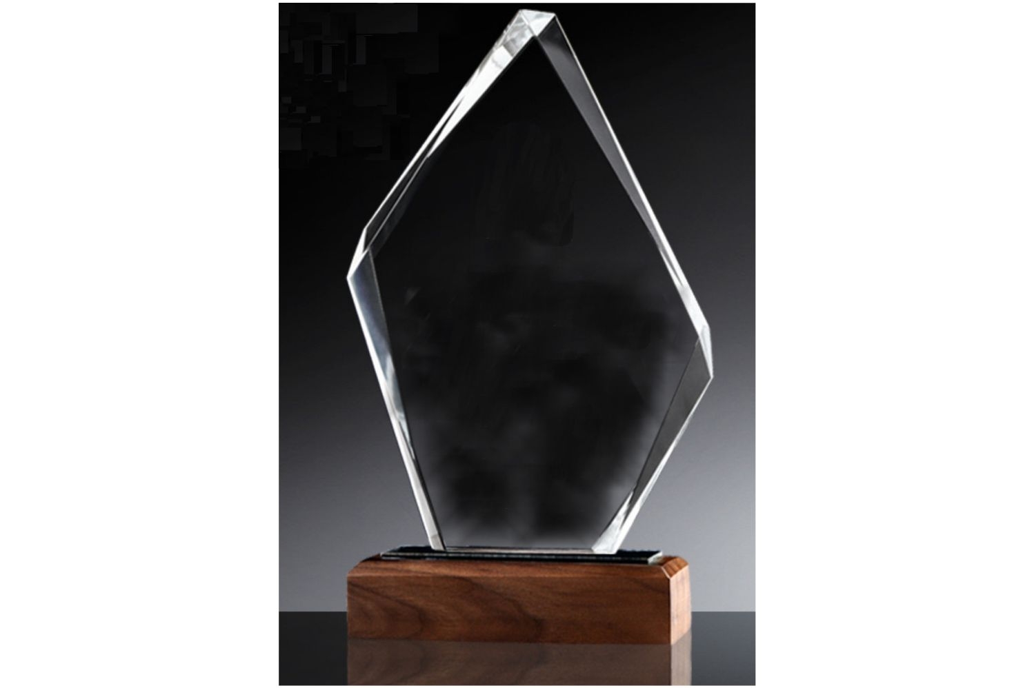 TROFEU SPECIAL DIN STICLA CU LEMN